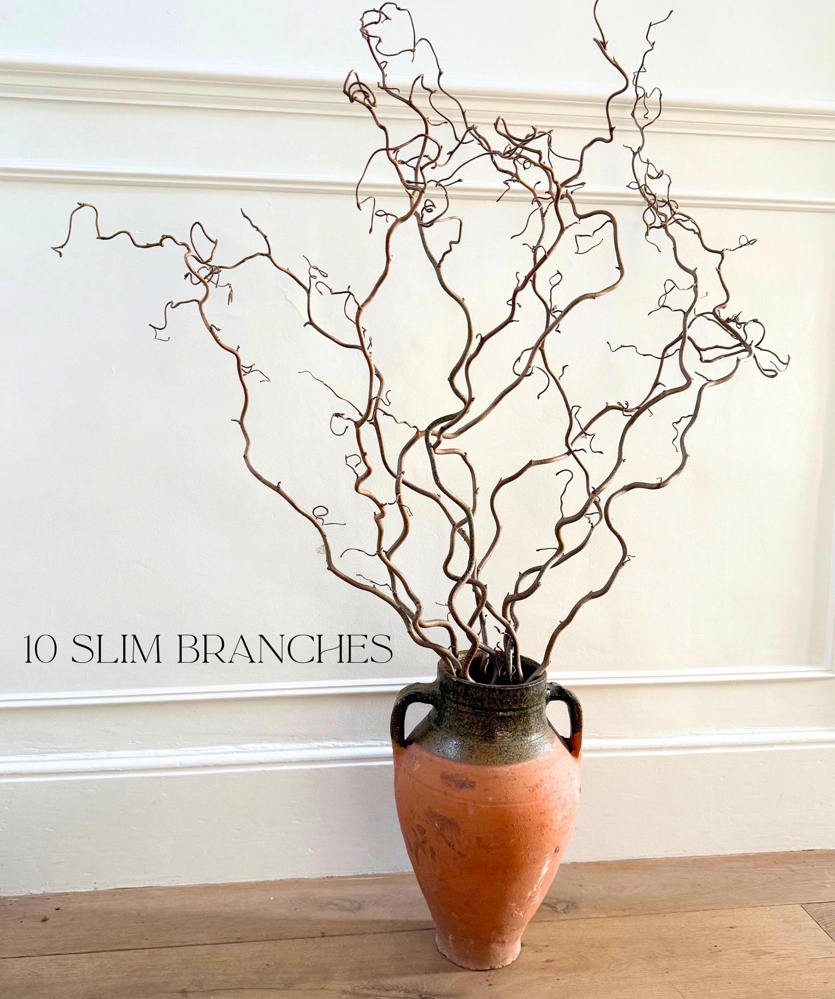 Contorted Hazel Corylus Branches Curly Twigs Corkscrew Natural Twisted ...